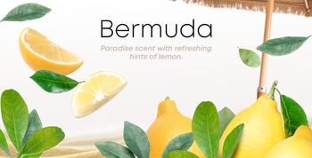 The Bermuda Collection – Bushbalm